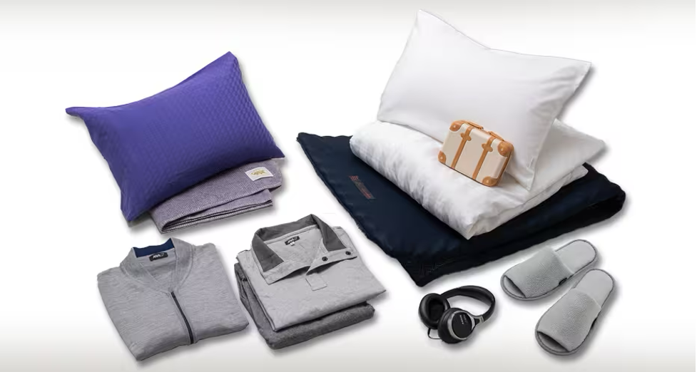 ANA First Class 'The Suite': A New Standard in Luxury Airfare ...